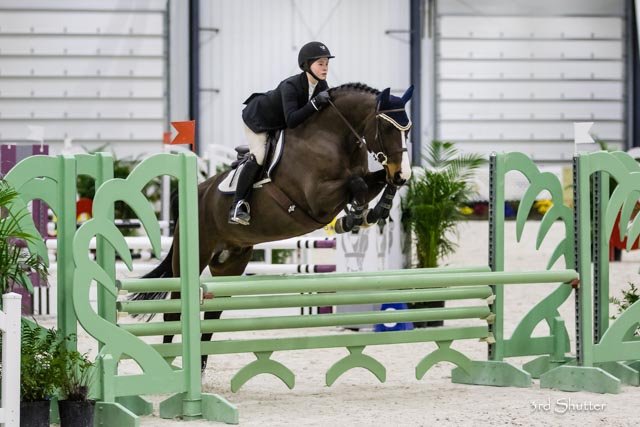 Equine Veterinarian Services in Maryland, Northern VA, Southern PA ...