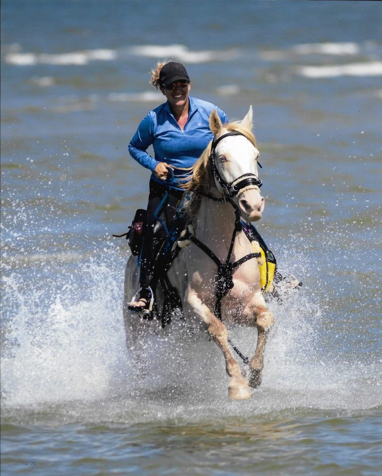 Our Team | South Mountain Equine